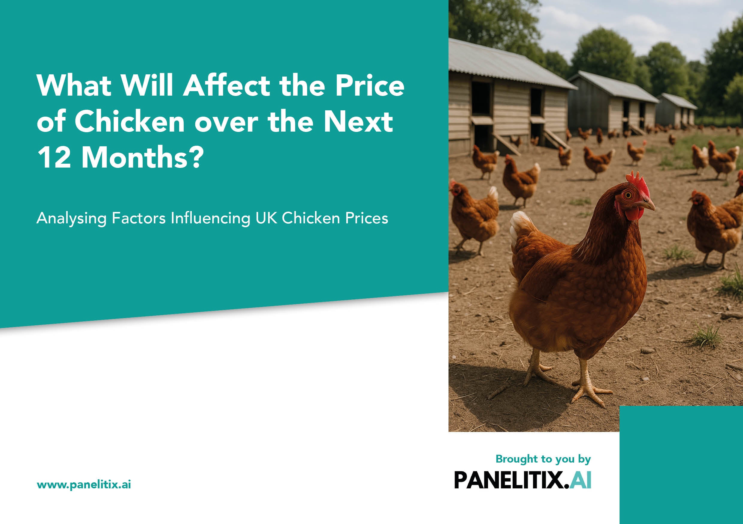 Chicken Commodity Report – Panelitix